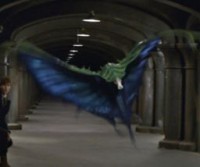 Swooping Evil – The Harry Potter Lexicon - The Harry Potter Lexicon