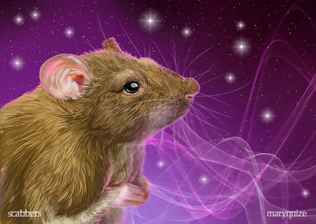 Rats – Harry Potter Lexicon